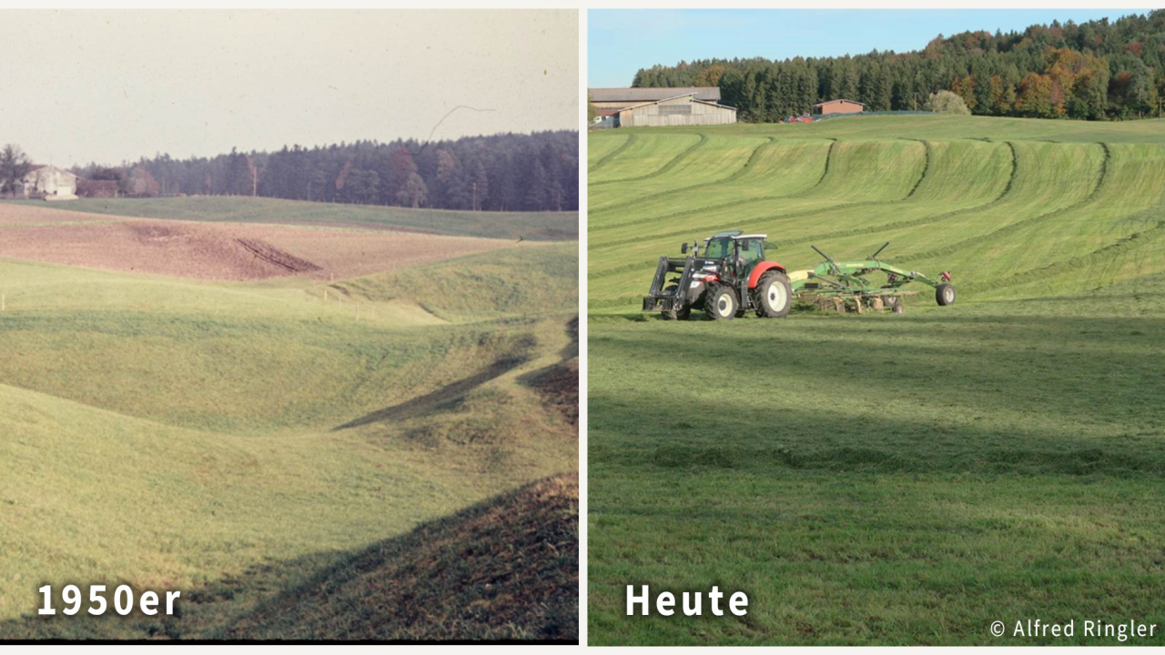 Flurbereinigung und Meloration – Schätze der Eiszeitlandschaft