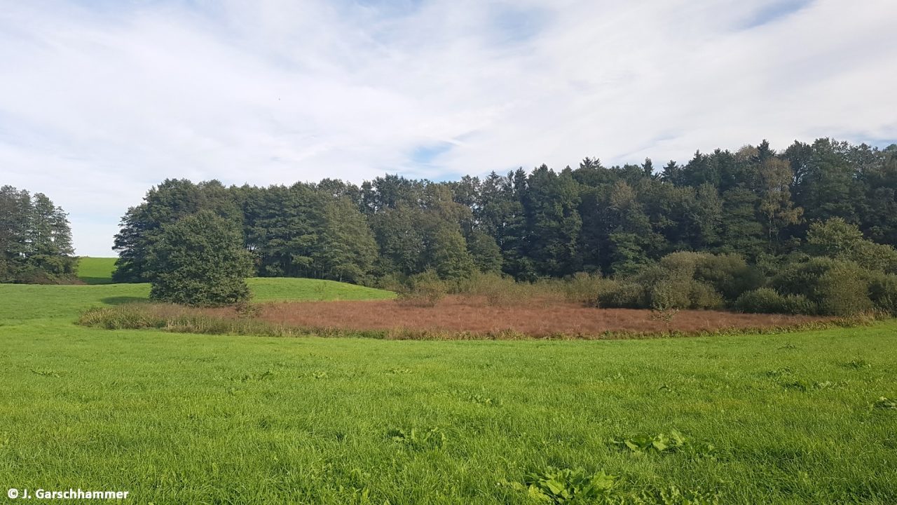 Fischbacher Mösl – Schätze der Eiszeitlandschaft