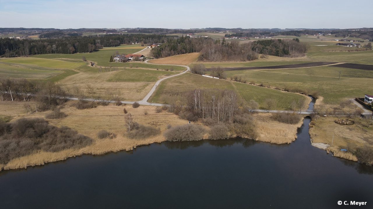 Streuwiesen am Soyensee – Schätze der Eiszeitlandschaft
